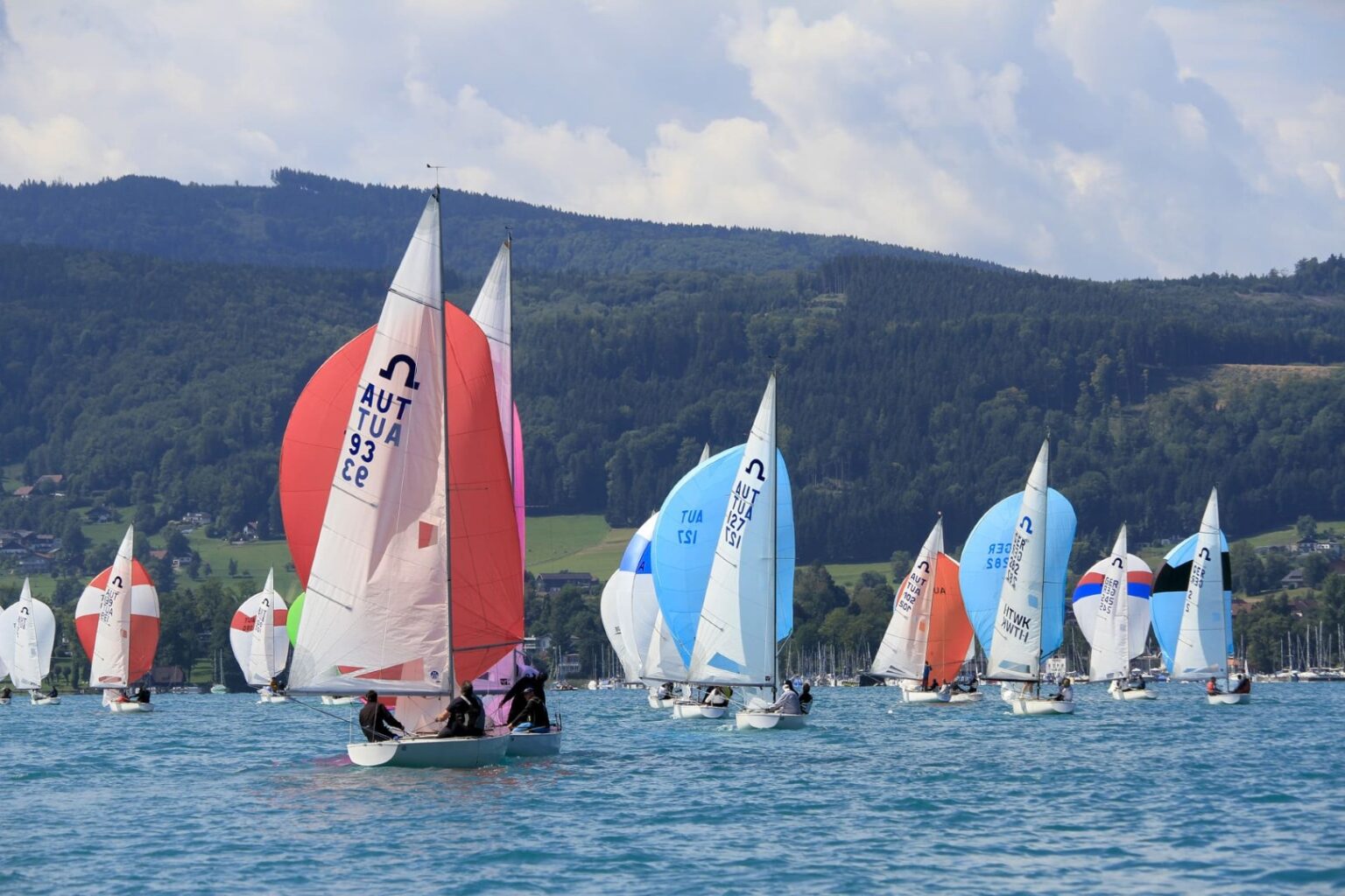 Feld_c-Schanda - salzi.at